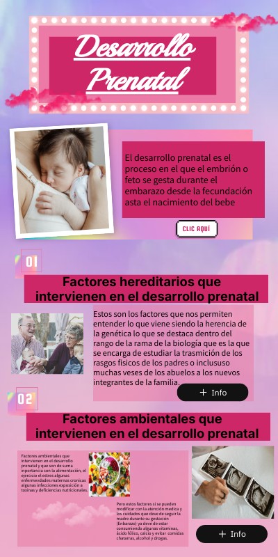 Desarrollo prenatal