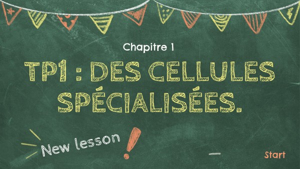 TP1 : des cellules spécialisées. Version 2024