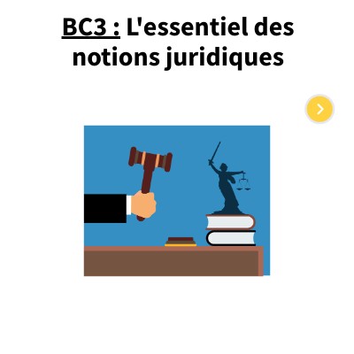 BC3_L'essentiel des notions juridiques
