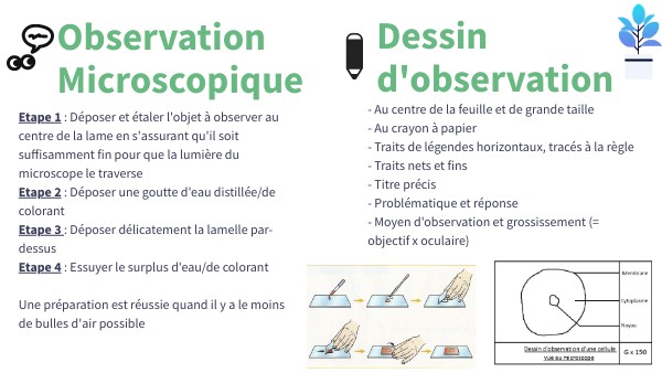 Méthode Observation Microscopique | Genially