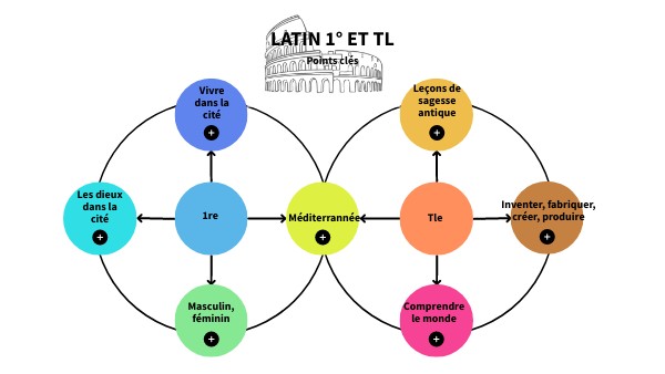 Programme LLCA 1re et Tle