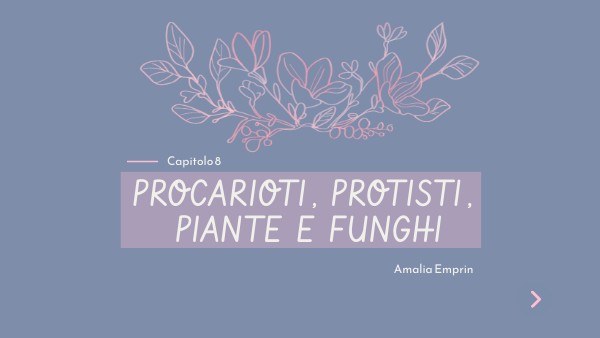 PROCARIOTI, PROTISTi, PIANTE E FUNGHIni