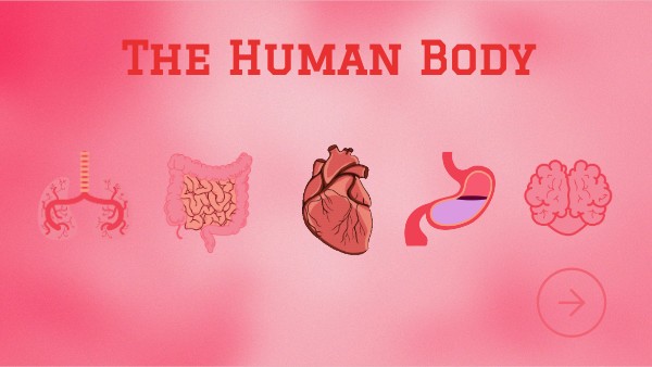 Escape Room human body