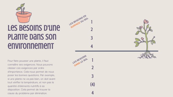 Copie - Étapes de croissance des plantes | Genially
