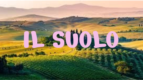IL SUOLO_presentazione | Genially