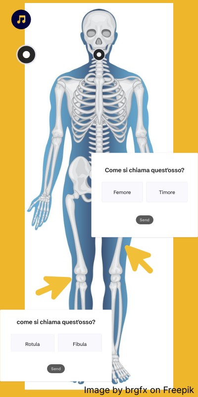 Studiamo lo scheletro | Genially