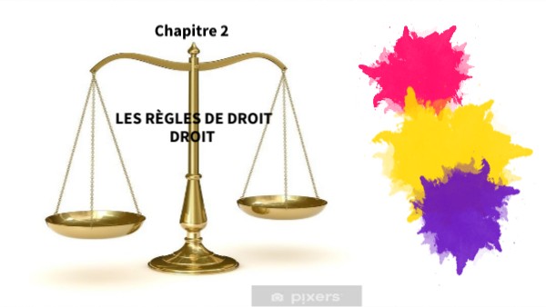 chapitre 2 - Les règles de droit | Genially
