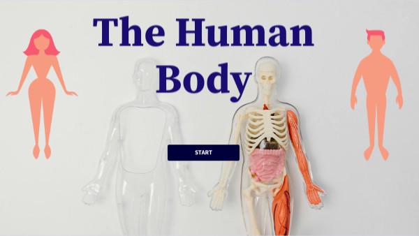 The human body