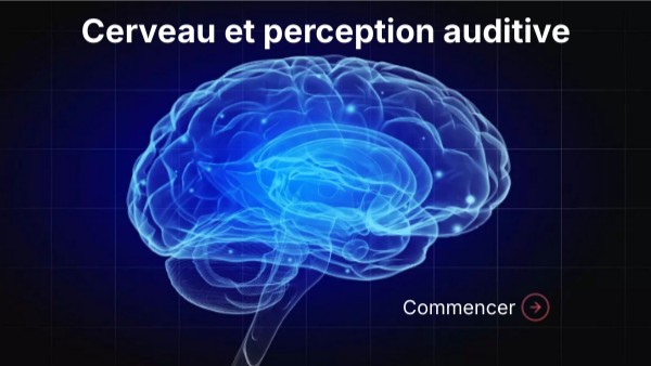 Cerveau et perception auditive | Genially