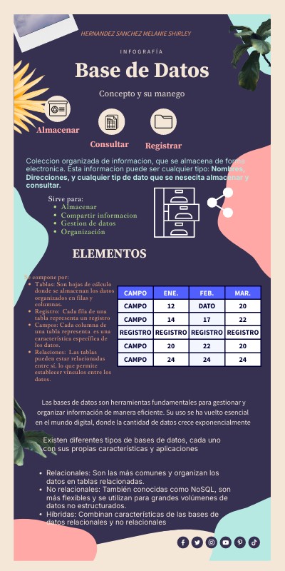 Infografia CONTEXTO DE LA BASE DE DATOS