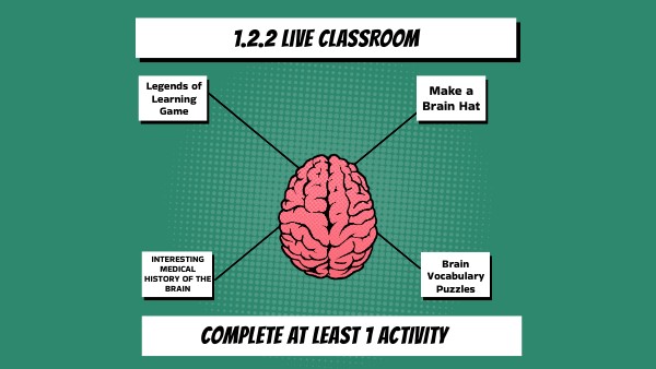 Brain 1.2.2 Live Class | Genially
