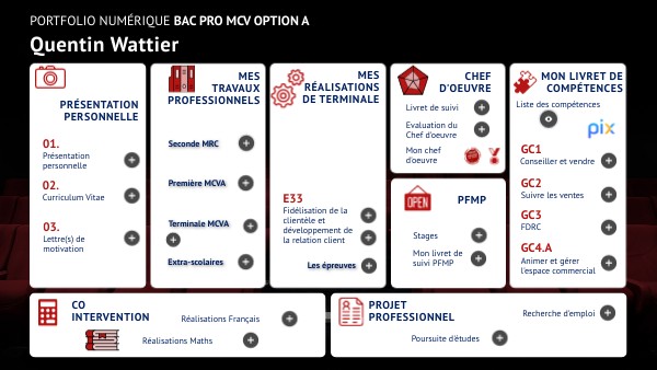 Portfolio - Bac pro MCV | Genially