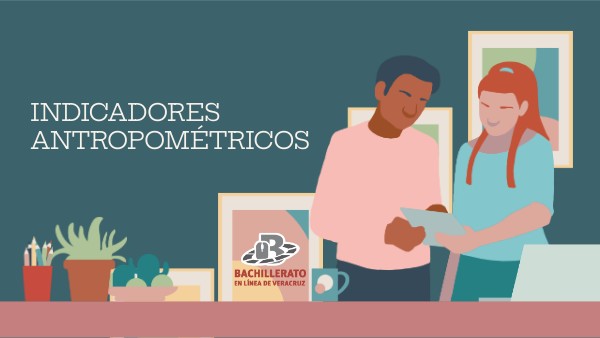 Indicadores antropométricos