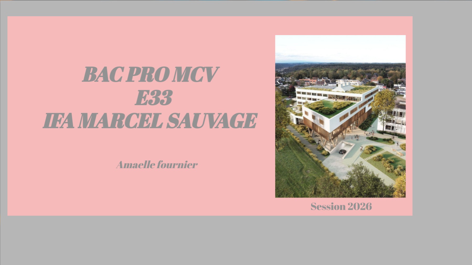 PRESENTATION bac pro MCV