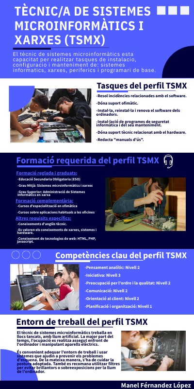 Infografía TSMX | Genially