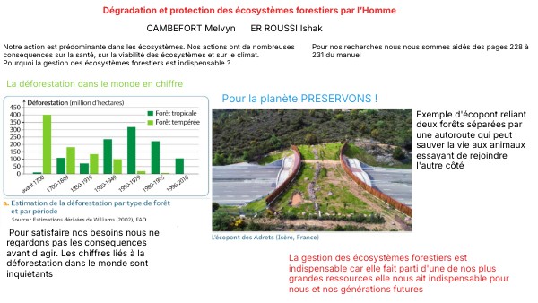 TP3 Affiche | Genially