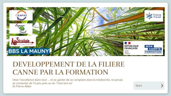 LA FORMATION POUR LA FILIERE CANNE DE DEMAIN