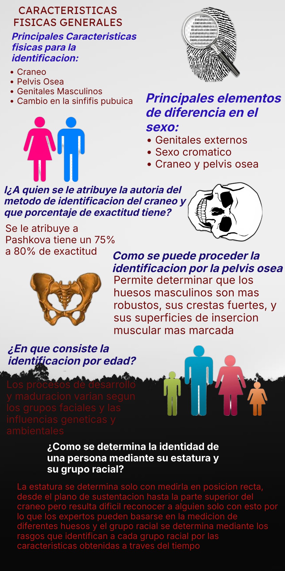 EQUIPO 6 - GRUPO 1-4 - CARACTERÍSTICAS FÍSICAS GENERALES | Genially