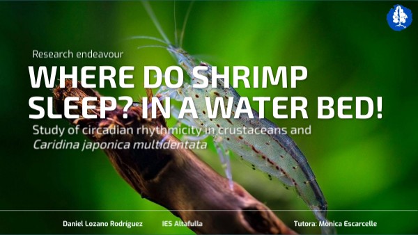 TDR (Daniel Lozano Rodríguez)