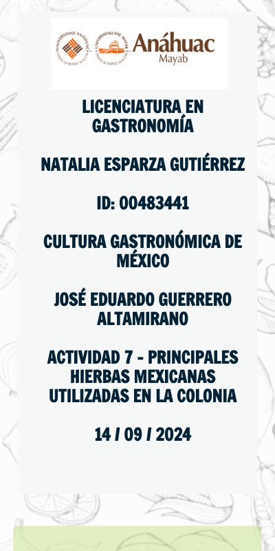 Einstein Infographic