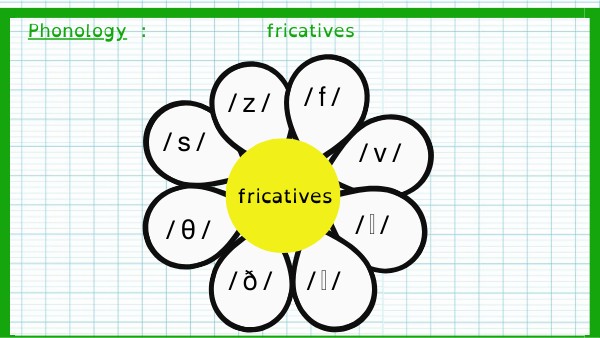 Phonology : fricatives