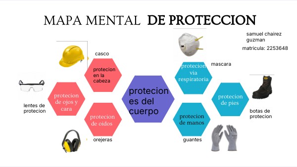 Mapa Mental Panal