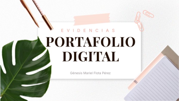 Portafolio TICs