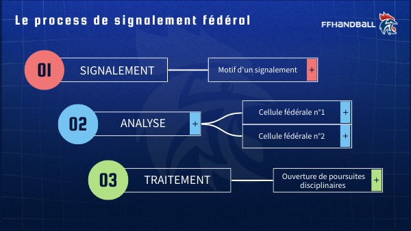 Process de signalement FFHB | Genially