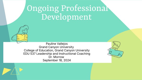 Ongoing professional development