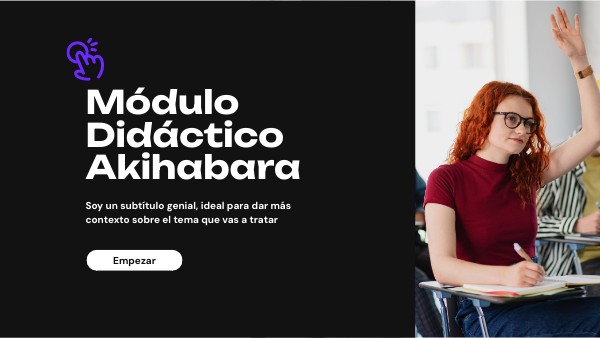 Módulo Didáctico Akihabara