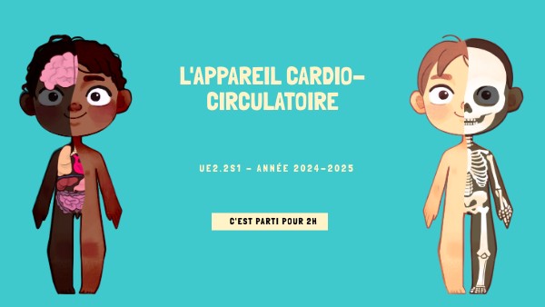 L'appareil cardio-circulatoire | Genially