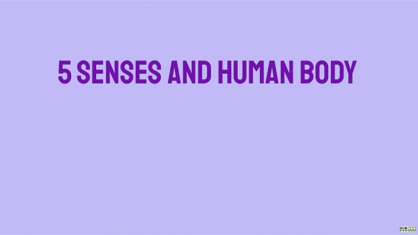 1GAIA.SENSES AND HUMAN BODY