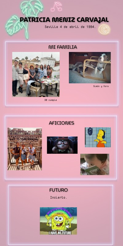 Infografia Florida Neon