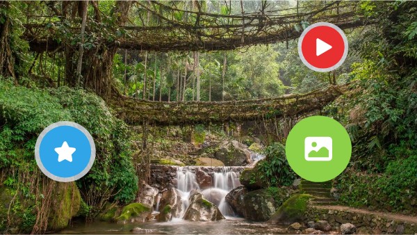 CCNN Tema 1 4º Seres vivos