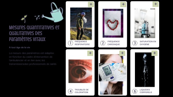 Mesures quantitatives et qualitatives PV | Genially