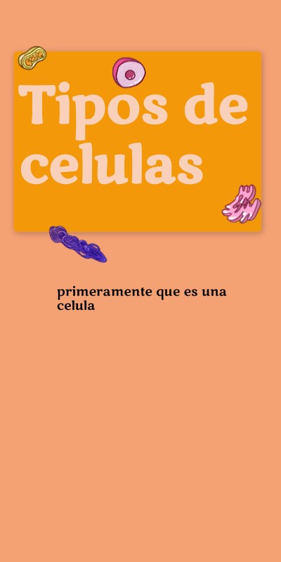TIPOS DE CELULAS