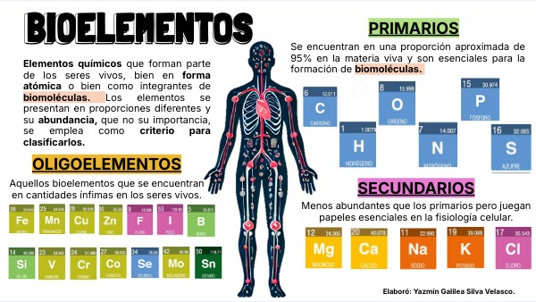 BIOELEMENTOS - GALI | Genially