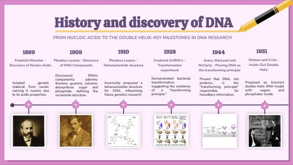 History and discovery of DNA | Genially