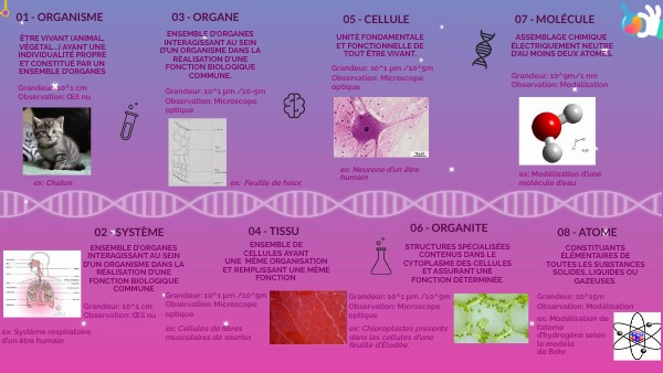 Copie - BIOLOGY VIBRANT HORIZONTAL | Genially