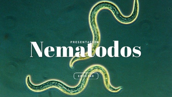 Los Nematodos | Genially