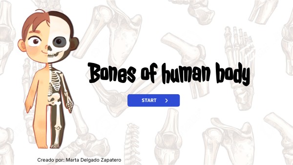 Bones of human body