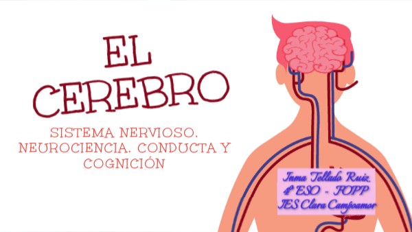 FOPP 1 Cerebro | Genially