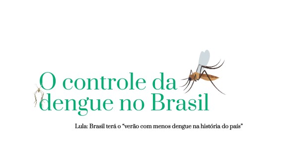 O controle da dengue no Brasil