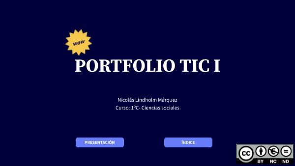 Portfolio TIC