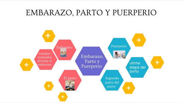 mapa embarazo, parto y puerperio