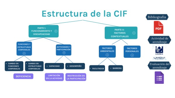 Estructura de la CIF | Genially