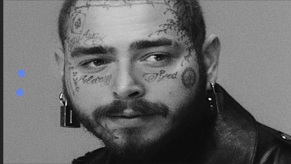 Basic Interactive Pre-Training Survey | Genially