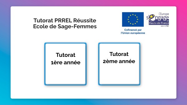 Tutorat Maïeutique