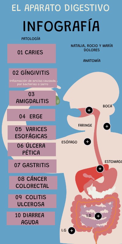INFO VERTICAL DIGESTIVO