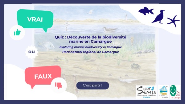 Quiz_en_ "Découverte de la biodiversité marine en Camargue" | Genially